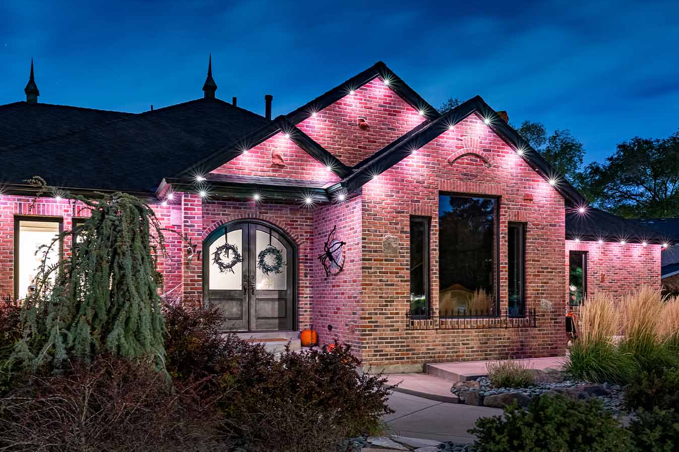 Outdoor Accent Lights | Trimlight Downlighting