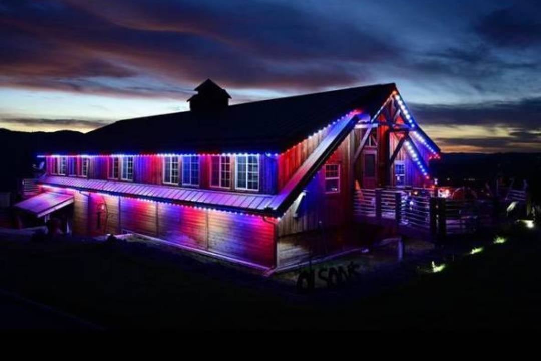 Trimlight Commercial Lighting Bulb | Outdoor Business LED Lights